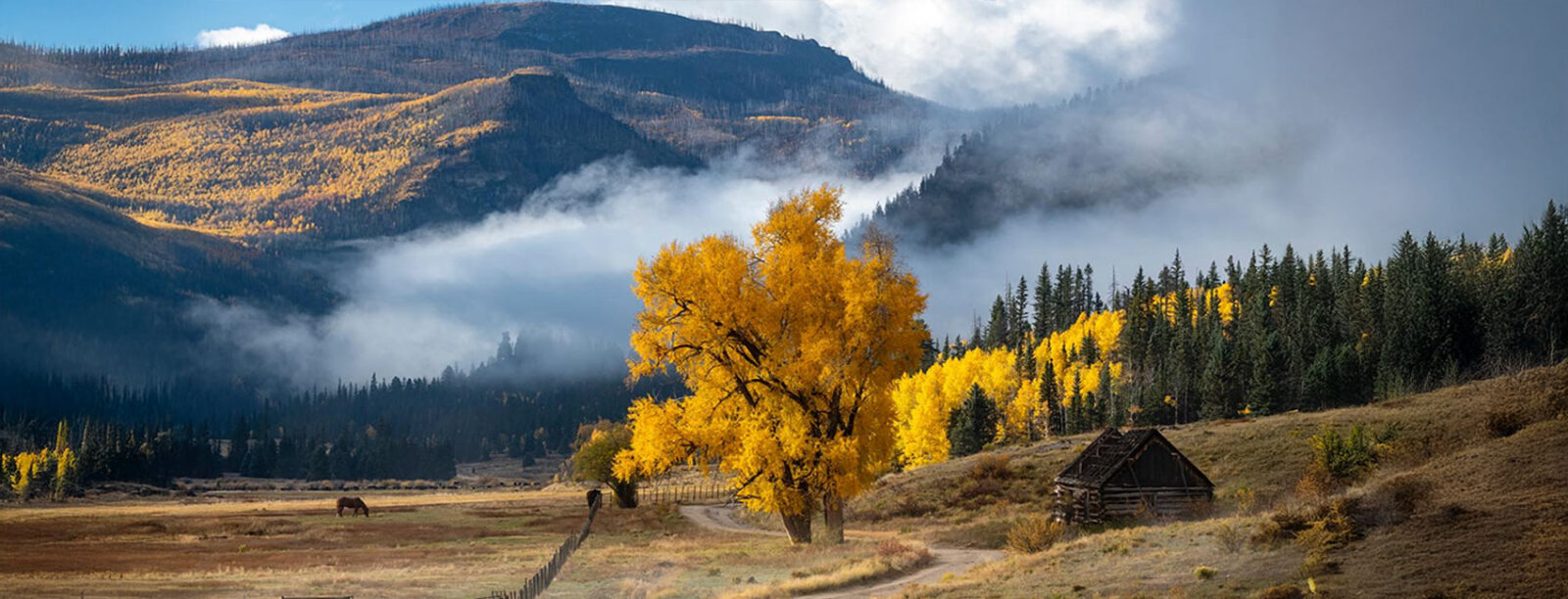 4UR Ranch | All-Inclusive Luxury Guest Ranch in Colorado